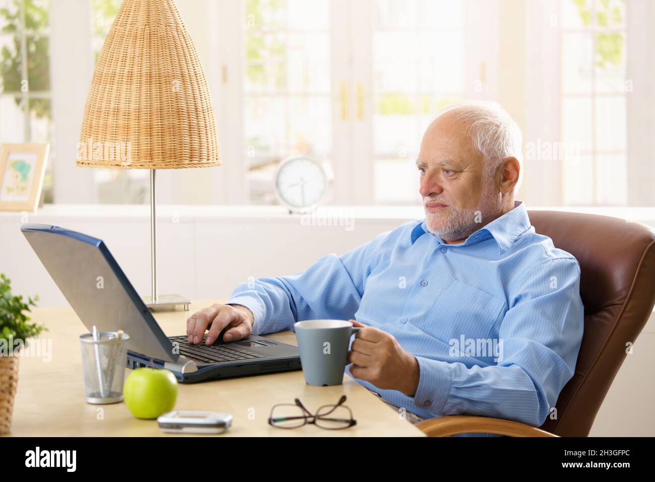 Elderly using computer hi-res stock photography and images - Alamy