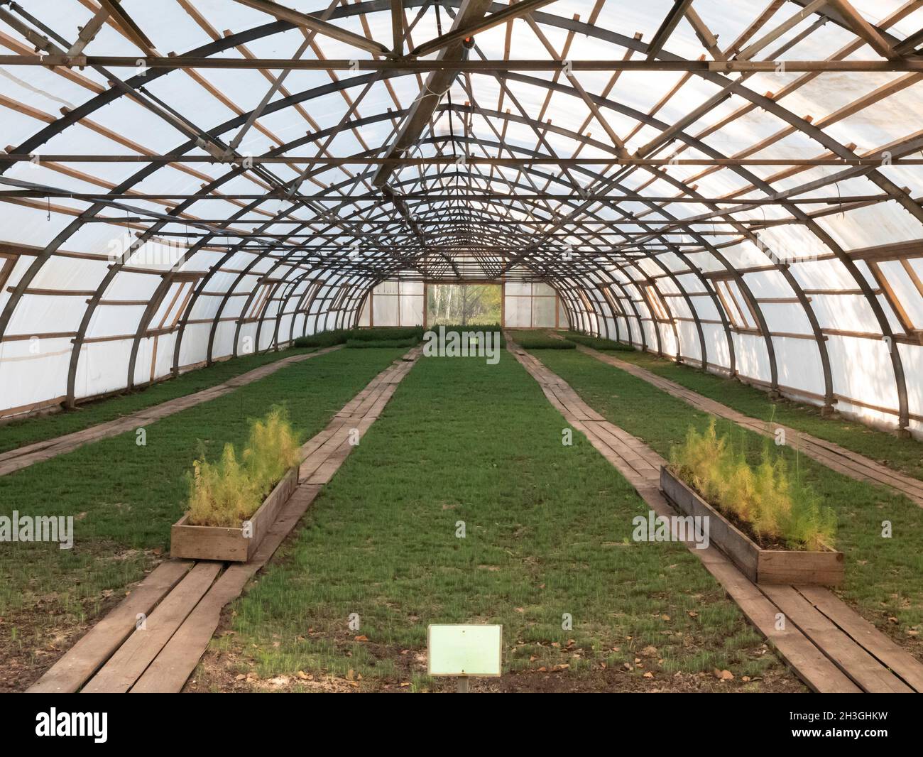 Seed orchard hi-res stock photography and images - Alamy