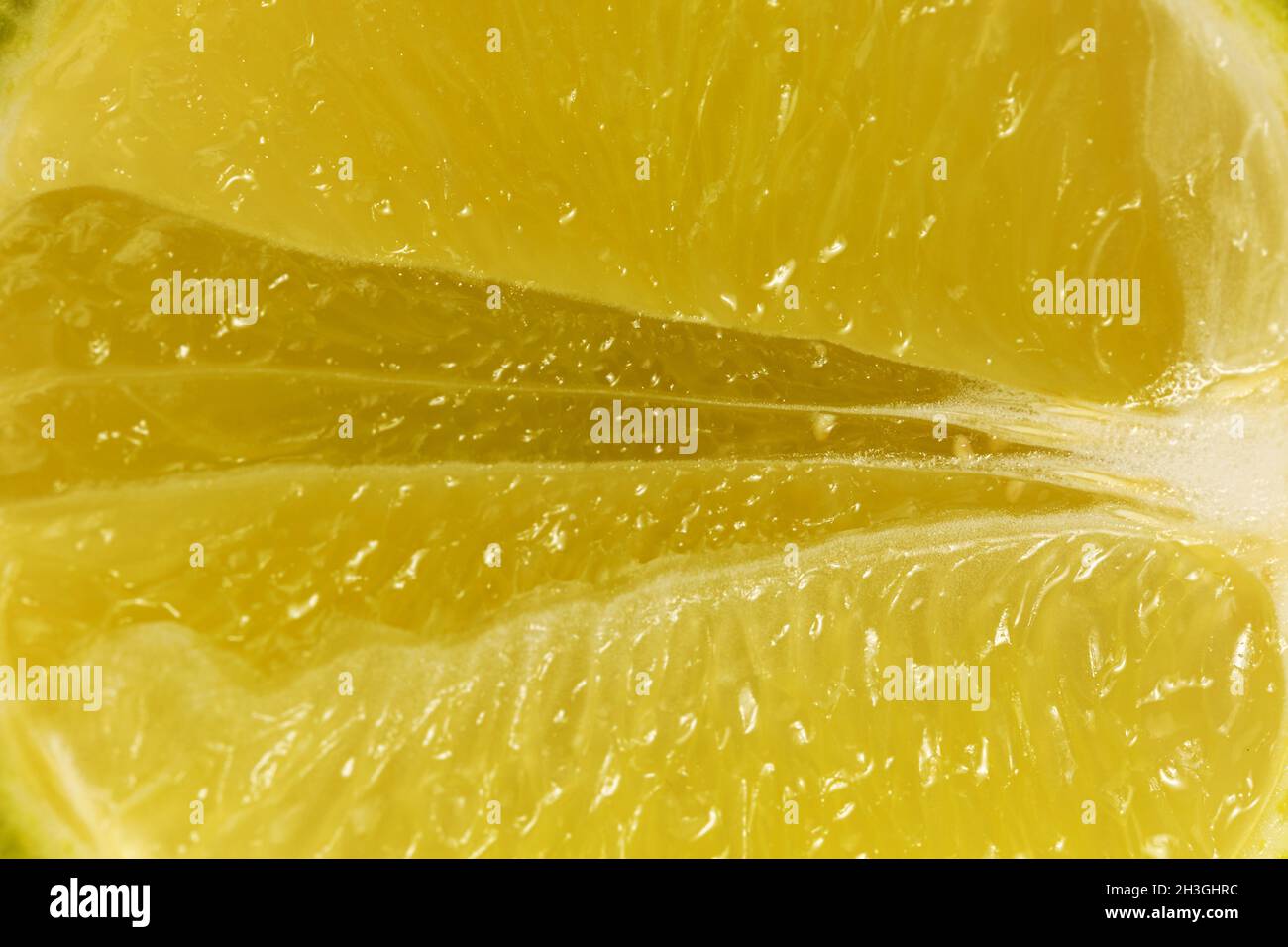 Fresh ripe and fleshy half of lemon. Texture, macro, fruit concept ...