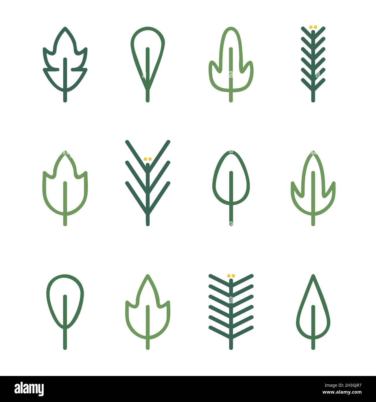 Outline leafs and conifer twigs set - vector illustration Stock Vector ...