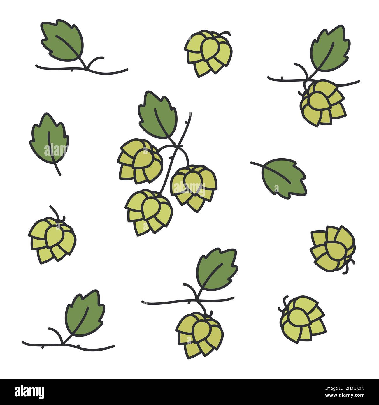 Hop plant set - vector illustration Stock Vector Image & Art - Alamy