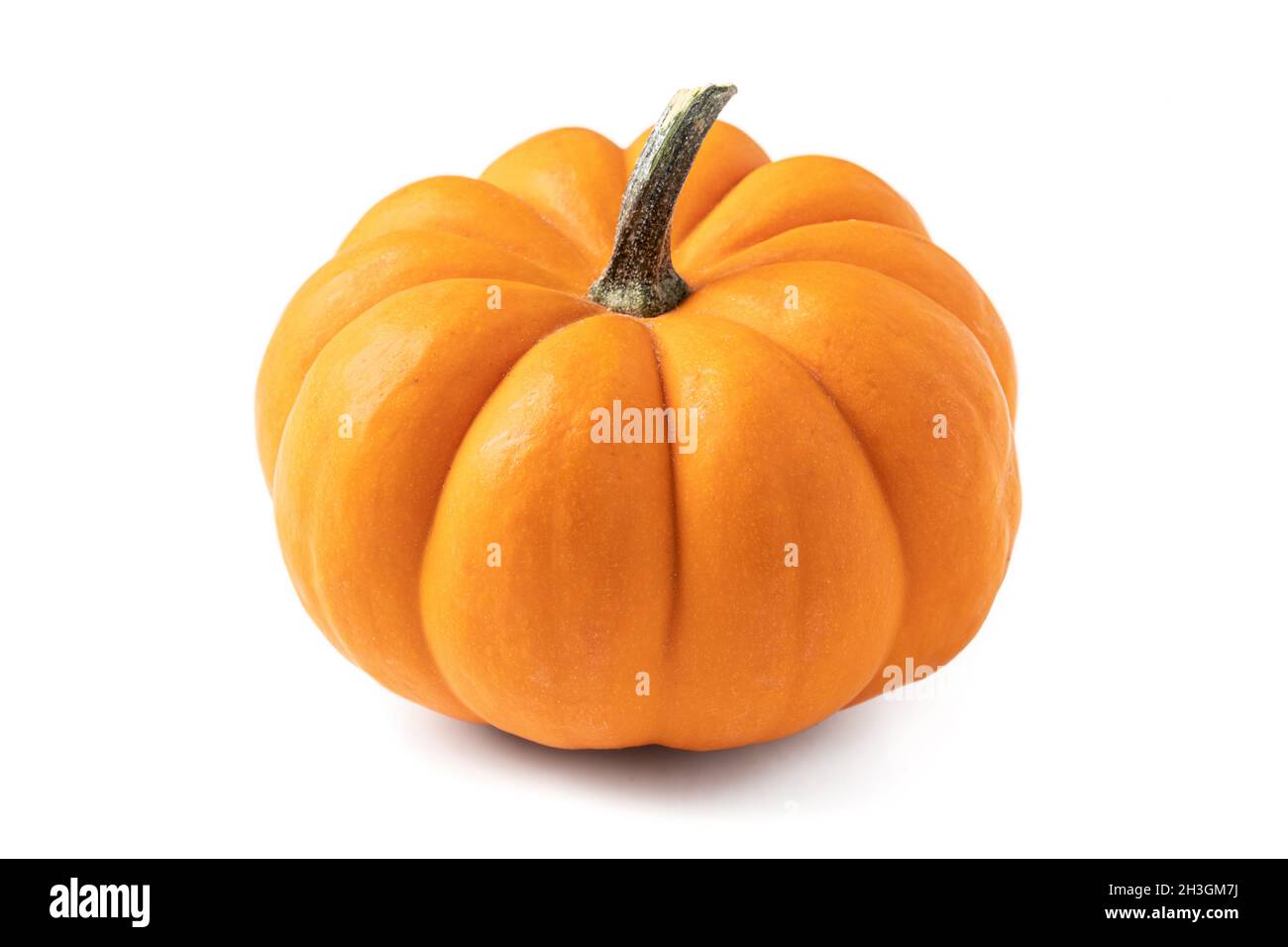 Fresh miniature pumpkin on an isolated white background Stock Photo - Alamy
