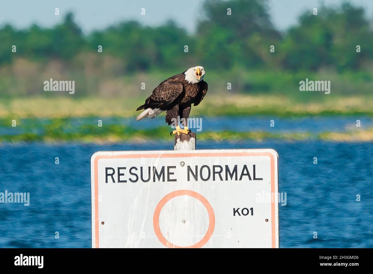 Eagle warning sign hi-res stock photography and images - Alamy