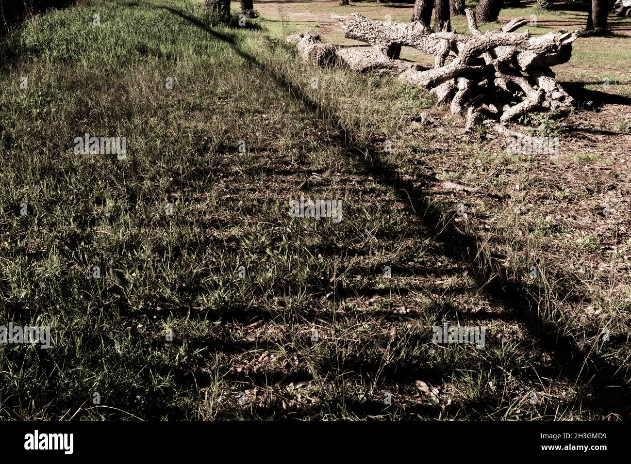 Shadow line people hi-res stock photography and images - Alamy