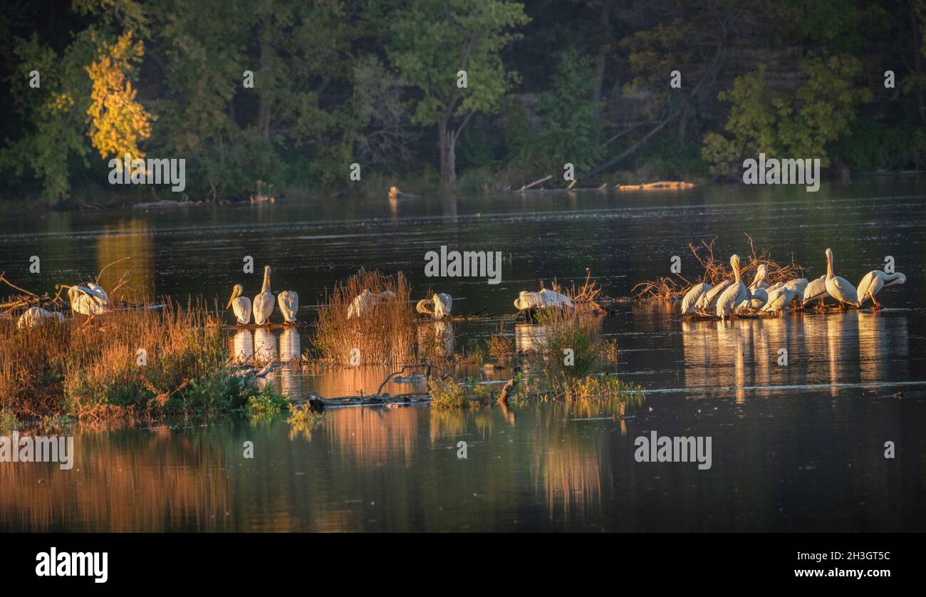 Starved rock state park ottawa hi-res stock photography and images - Alamy