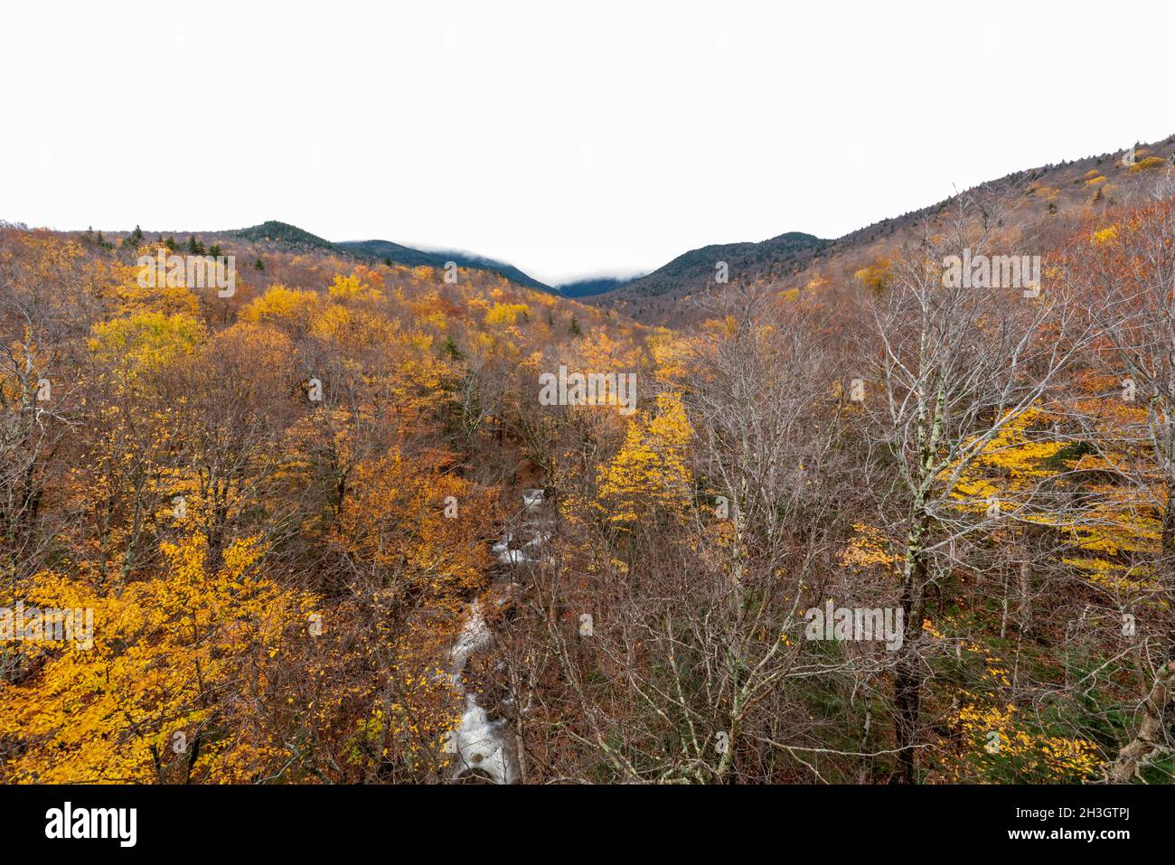 Scene of The Basin, Franconia Notch State Park, Lincoln, NH ...