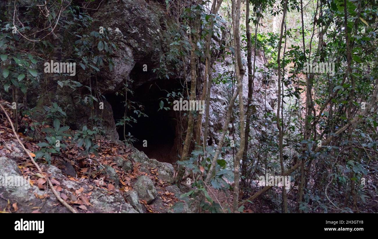 Mysterious underworld hi-res stock photography and images - Alamy