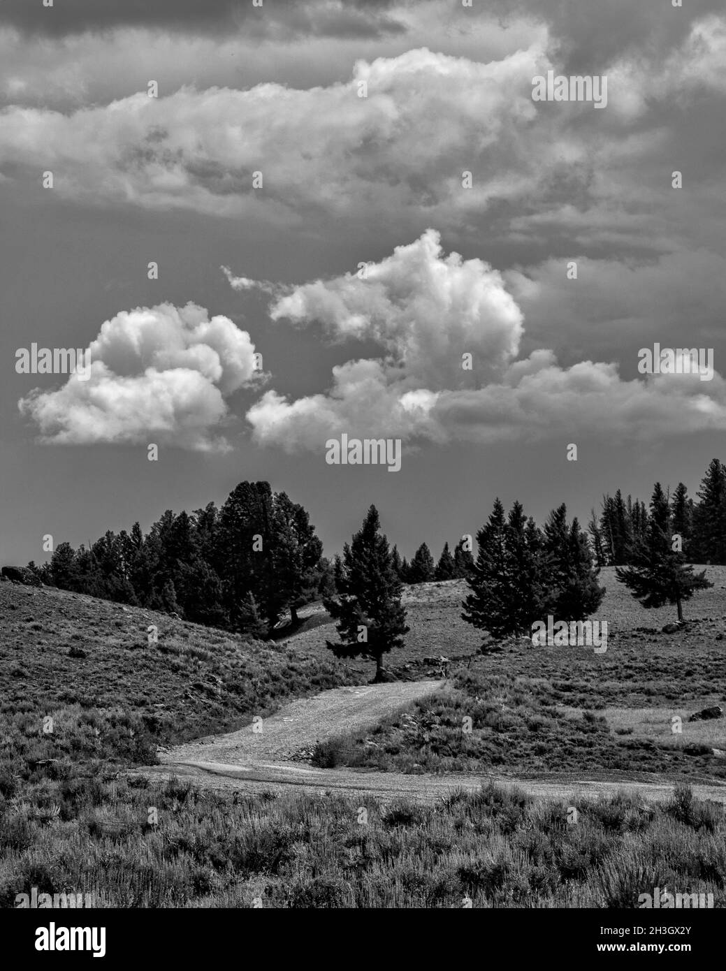 Beautiful scenery in yellowstone Black and White Stock Photos & Images ...