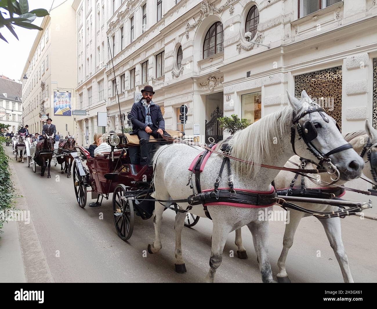 Vienna Austria - September 1 2017; White horses adorned in formal ...