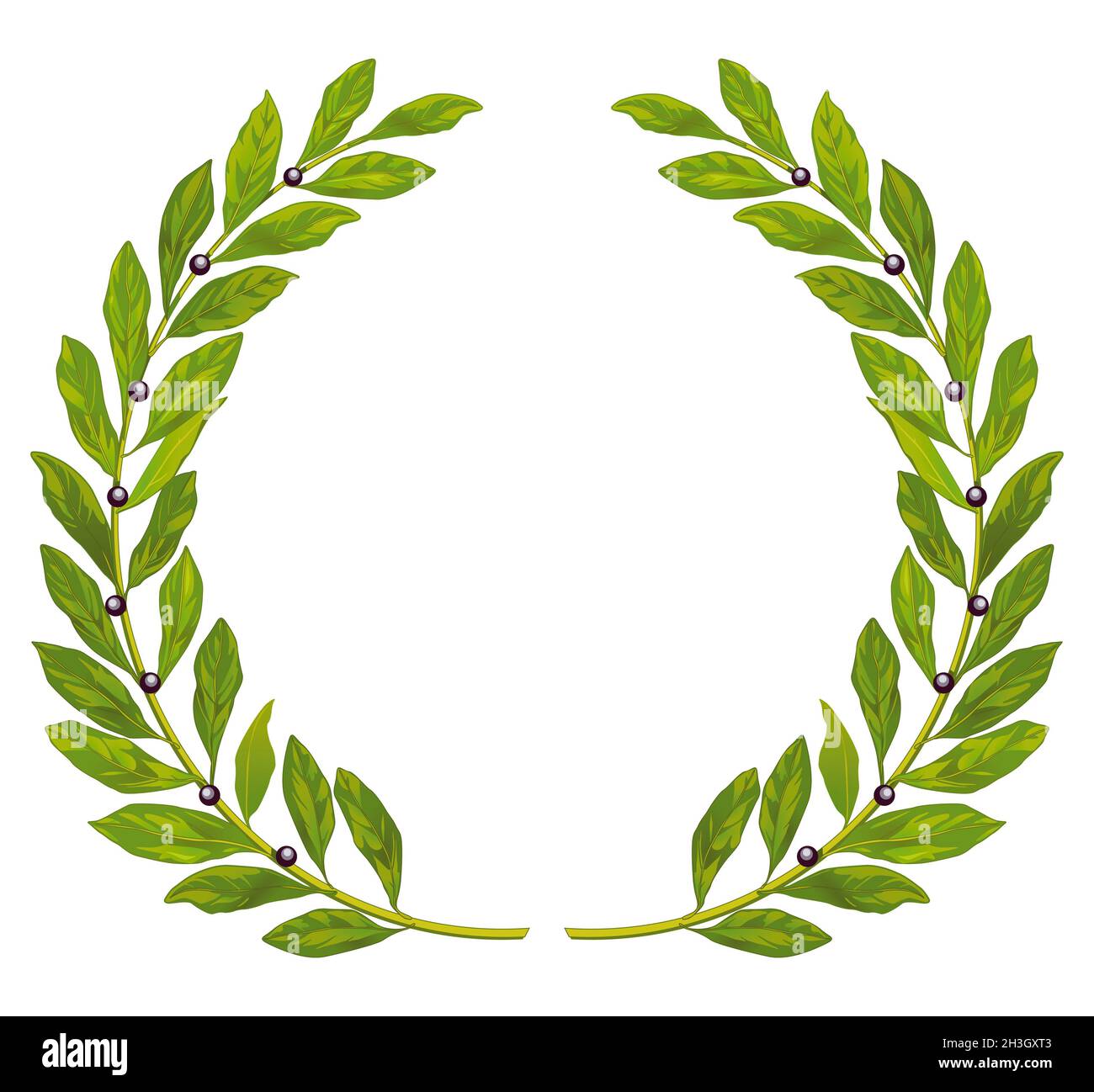 Laurel wreath and laurel Stock Photo - Alamy