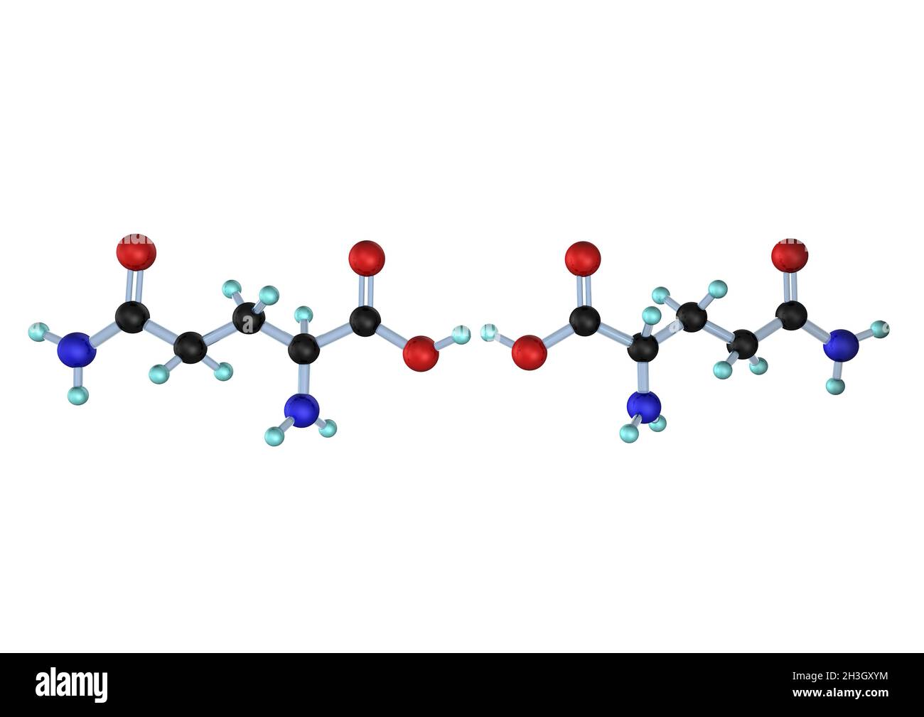 Glutamin hi-res stock photography and images - Alamy