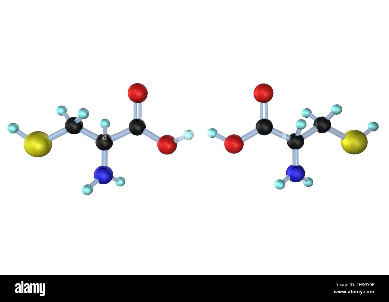 Cysteine amino acid molecule hi-res stock photography and images - Alamy