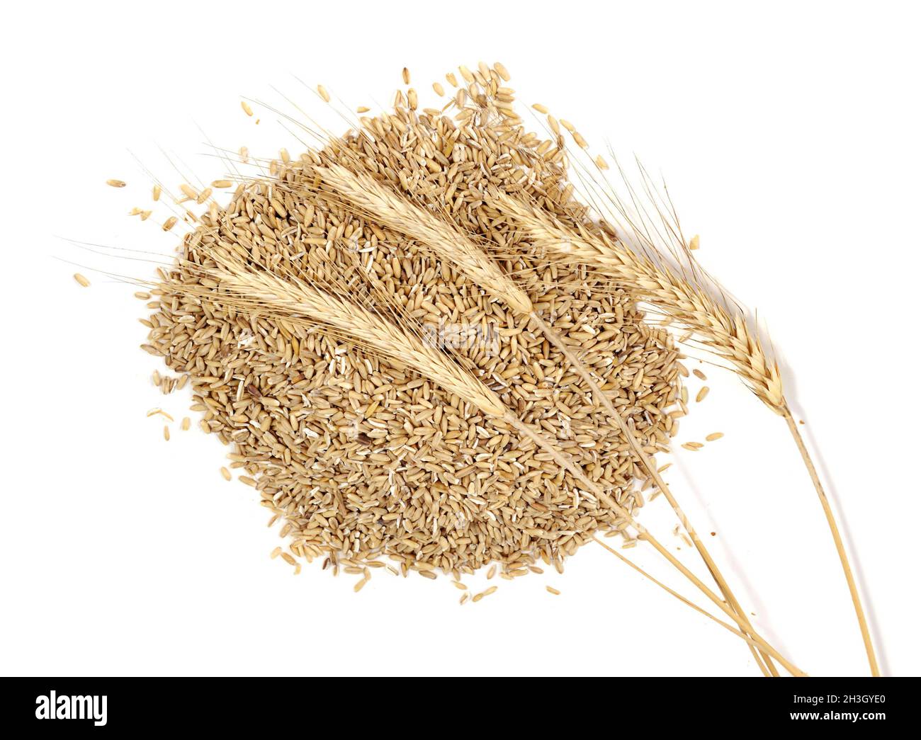 Wheat with seeds Stock Photo - Alamy