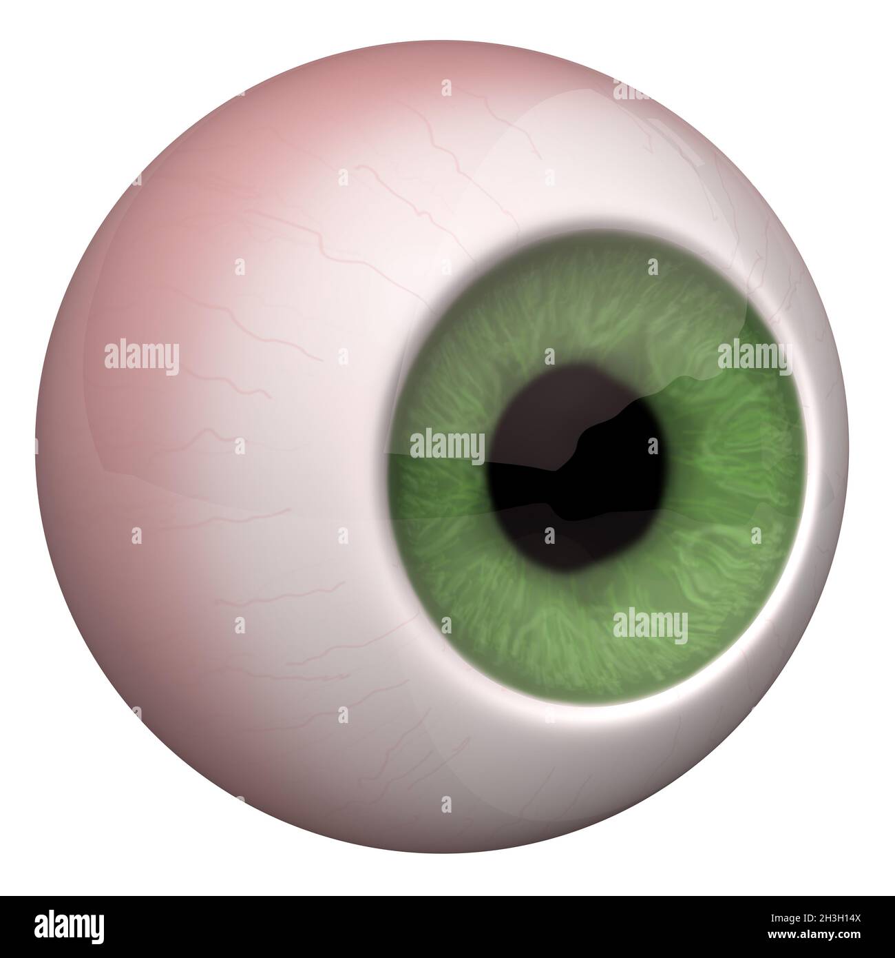 Retinal examination hi-res stock photography and images - Alamy