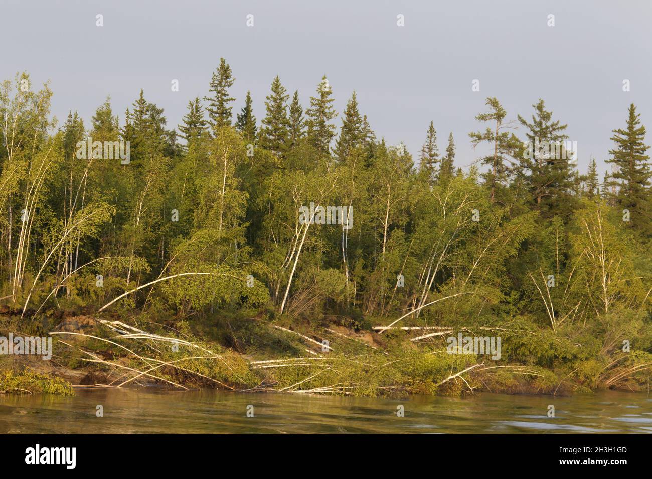 Yakutia hi-res stock photography and images - Alamy