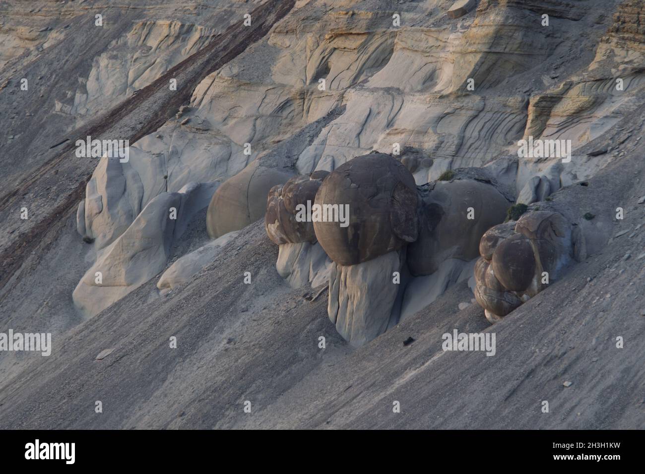 Lena river siberia hi-res stock photography and images - Alamy