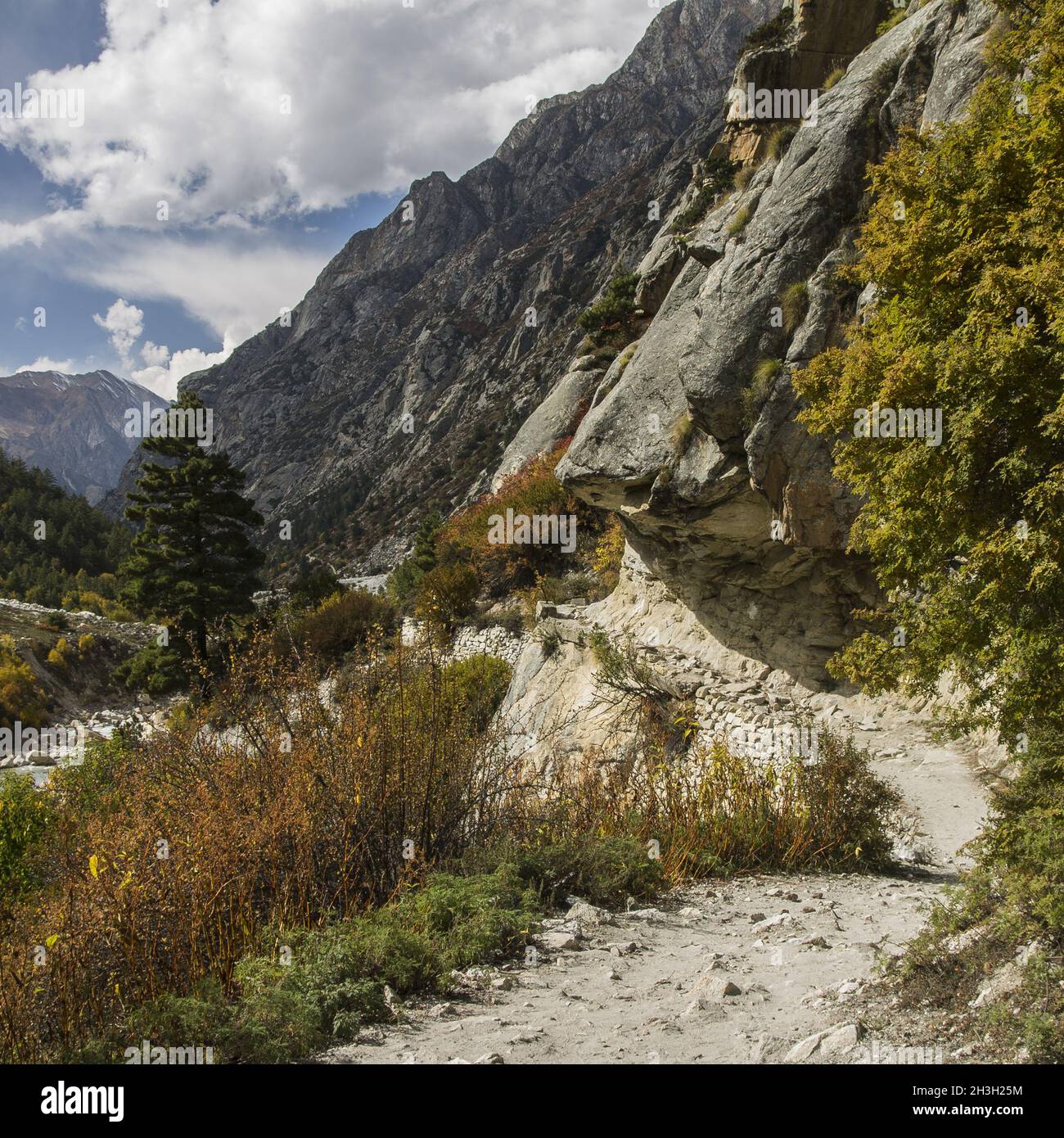 Pathway in the Bhagirathi valley Stock Photo - Alamy