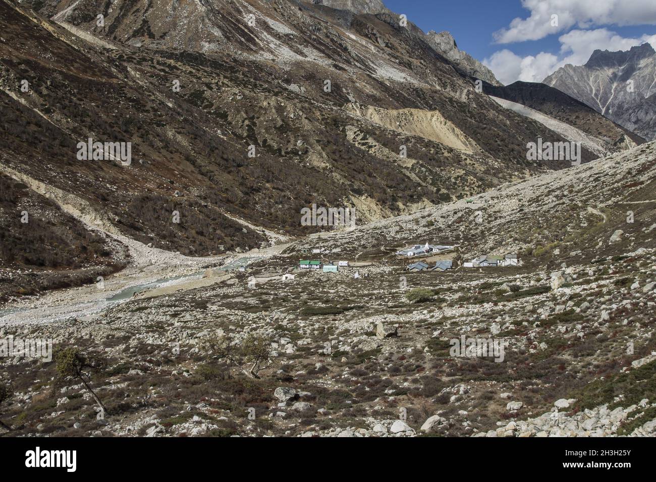 Bhojbasa hi-res stock photography and images - Alamy