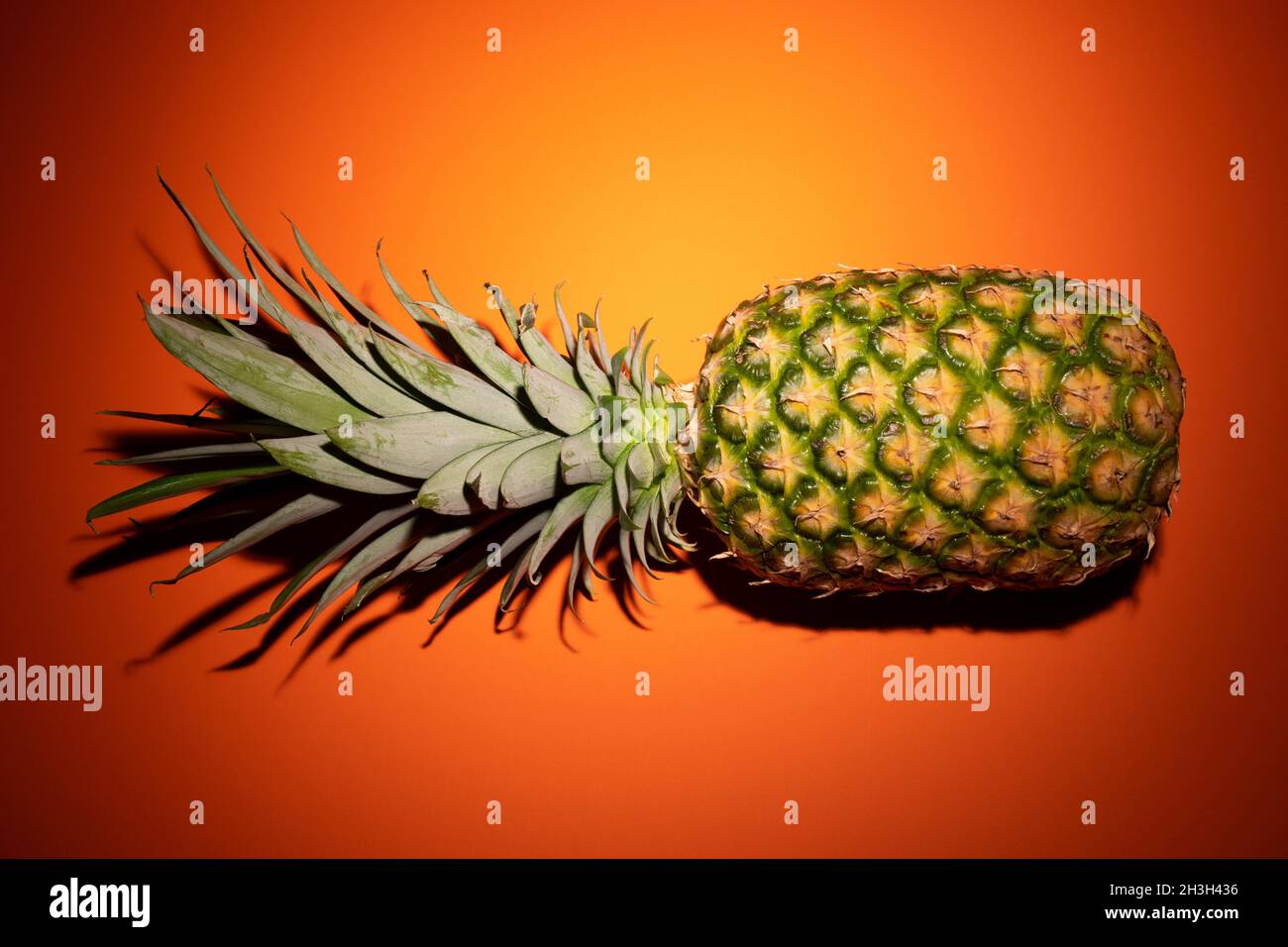 A low angle view (overhead shot) of a whole pineapple fruit laid flat ...