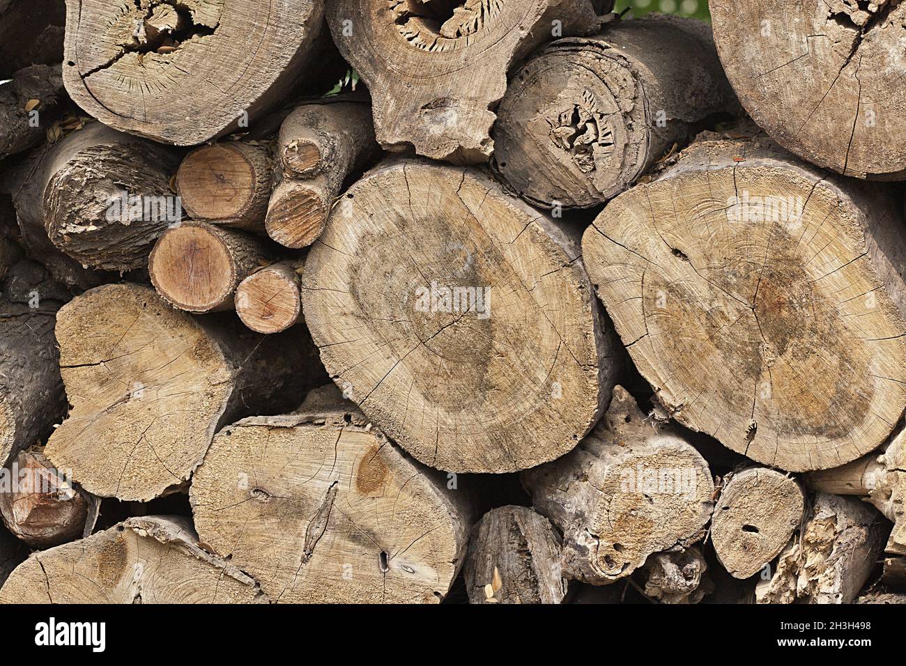 Zersa gte hi-res stock photography and images - Alamy