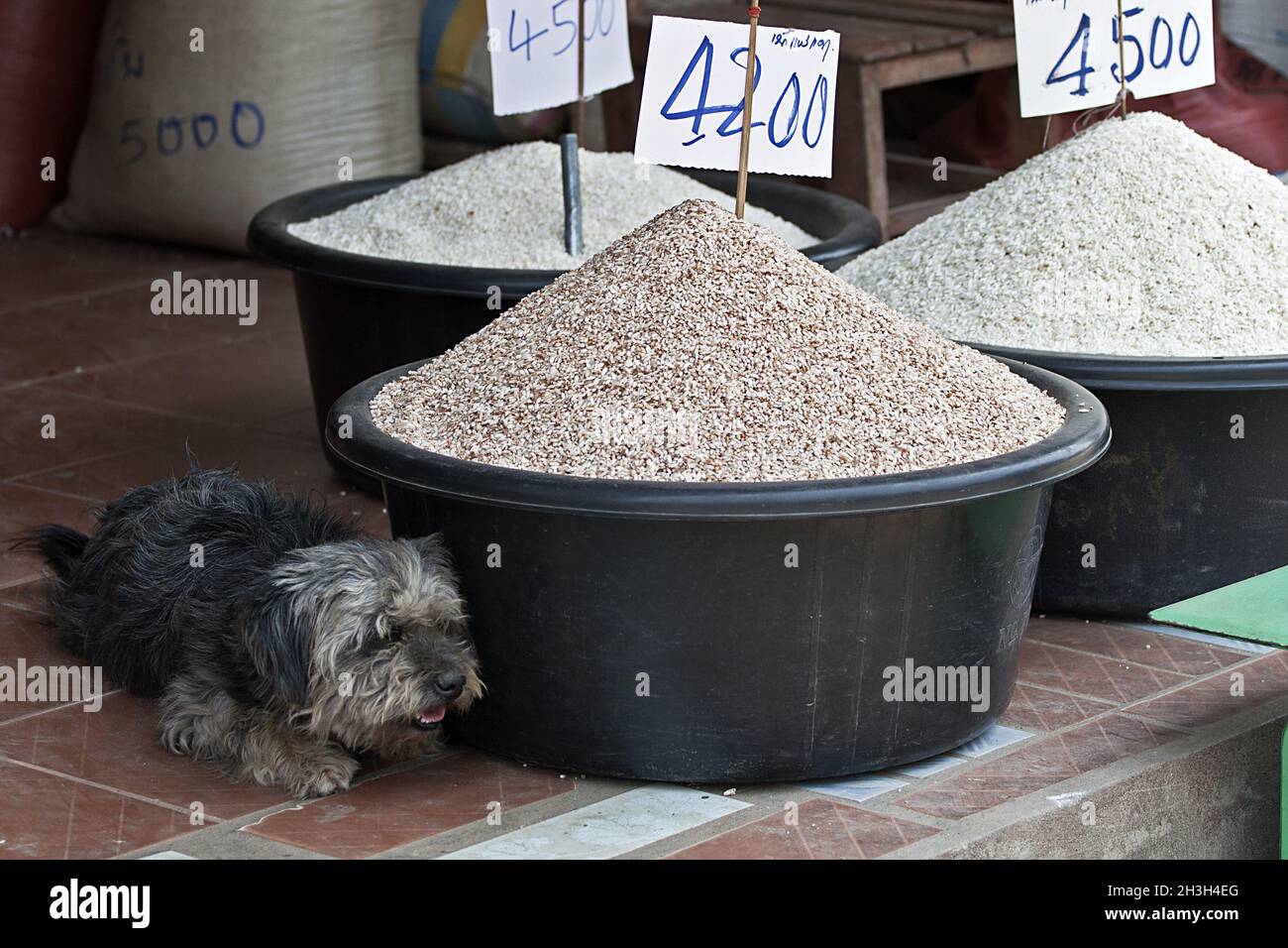 Asian heritage foods hi-res stock photography and images - Alamy