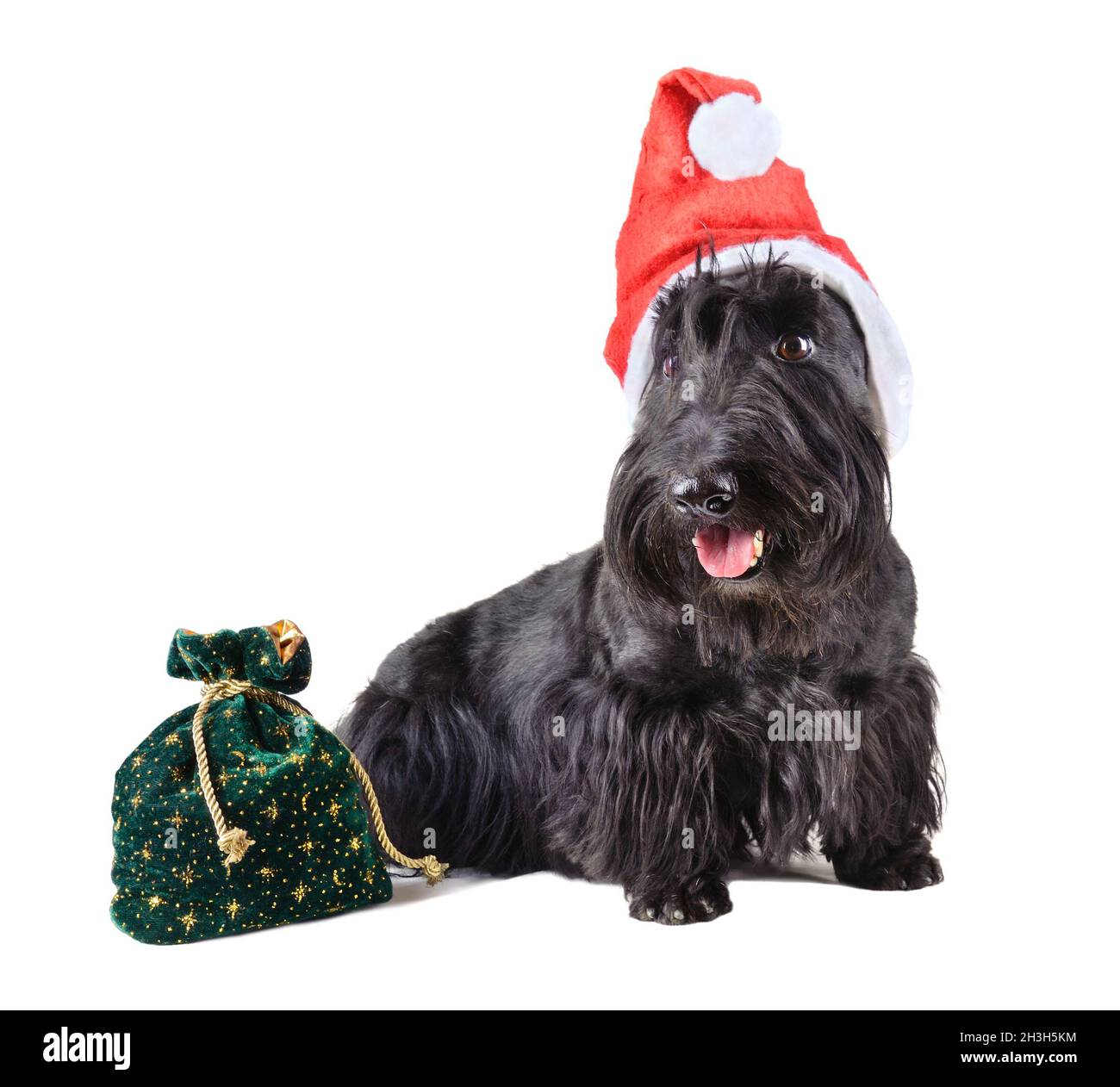 Scottish santa claus Cut Out Stock Images & Pictures - Alamy