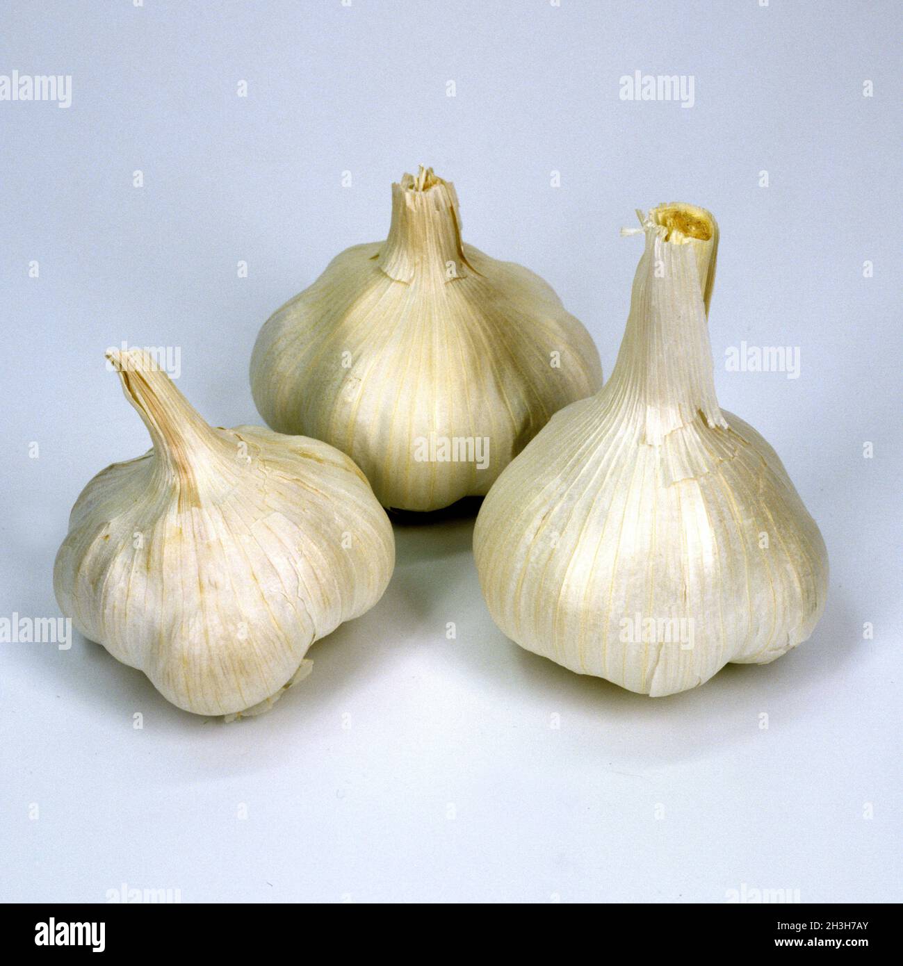 Cloves of garlic Stock Photo - Alamy