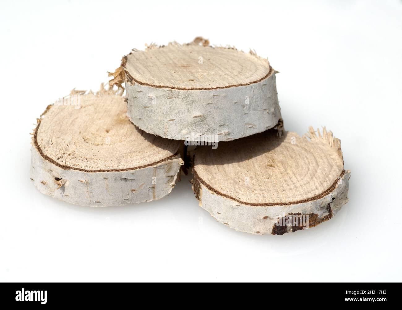 Wooden discs, birch tree Stock Photo - Alamy