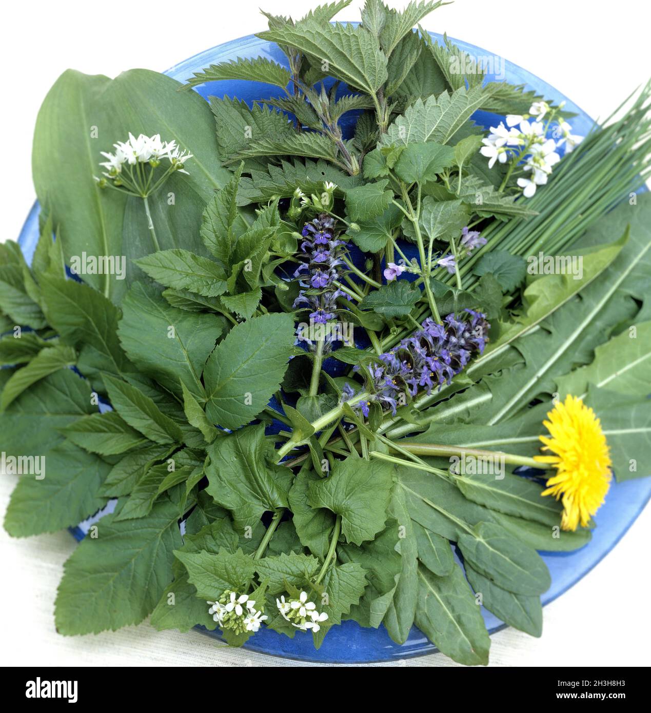 Wild Herbs 250906 Stock Photo - Alamy