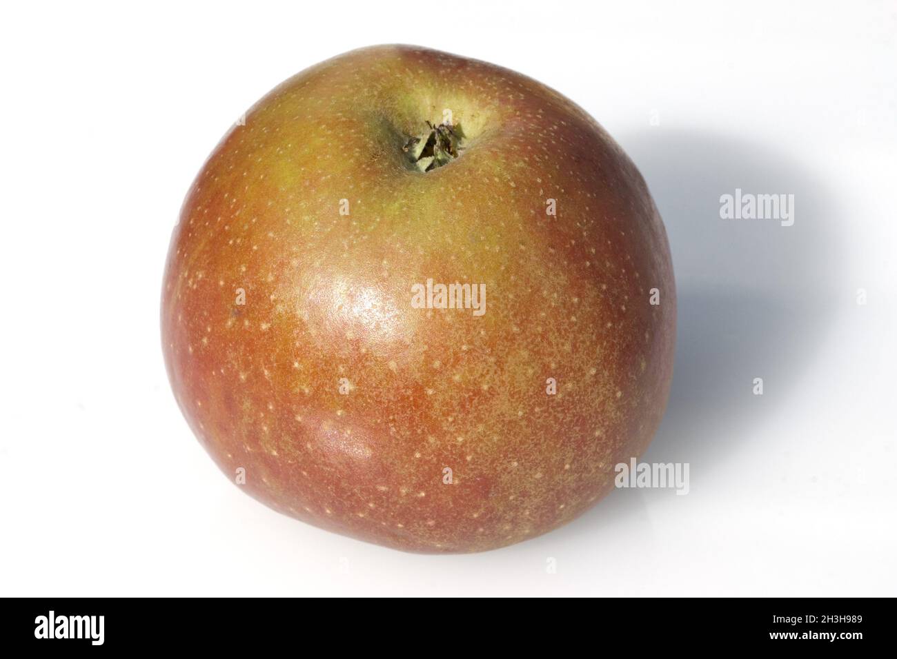 Boskop hi-res stock photography and images - Alamy