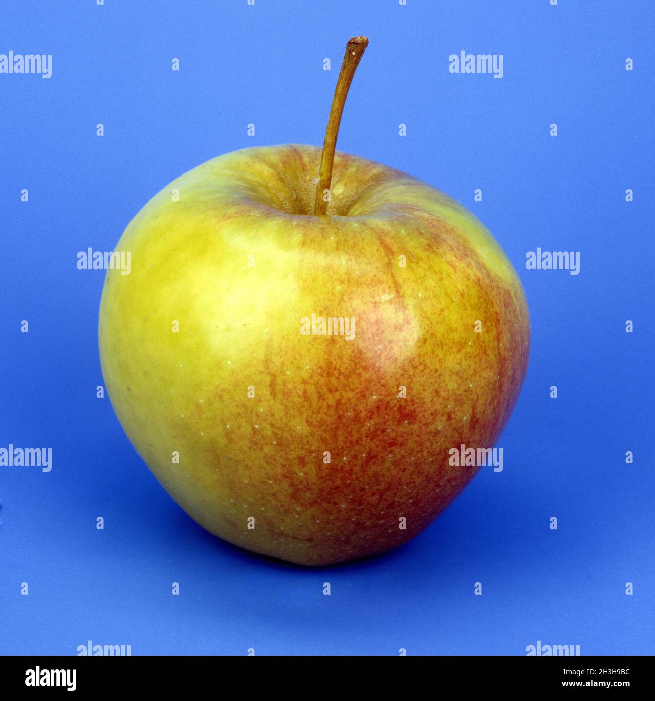 Jonagold apple variety hi-res stock photography and images - Alamy