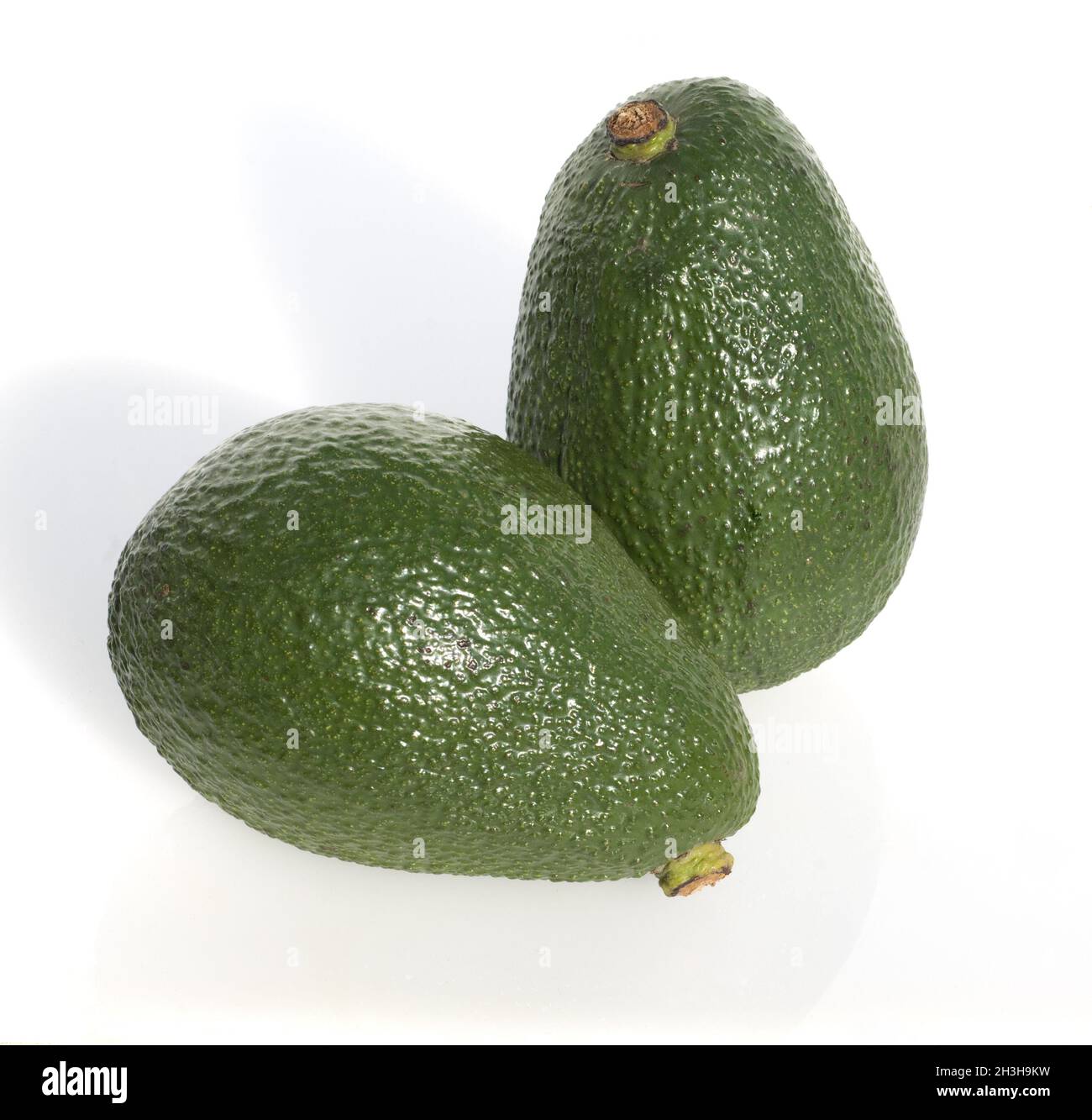 Avocado, Persea americana Stock Photo - Alamy