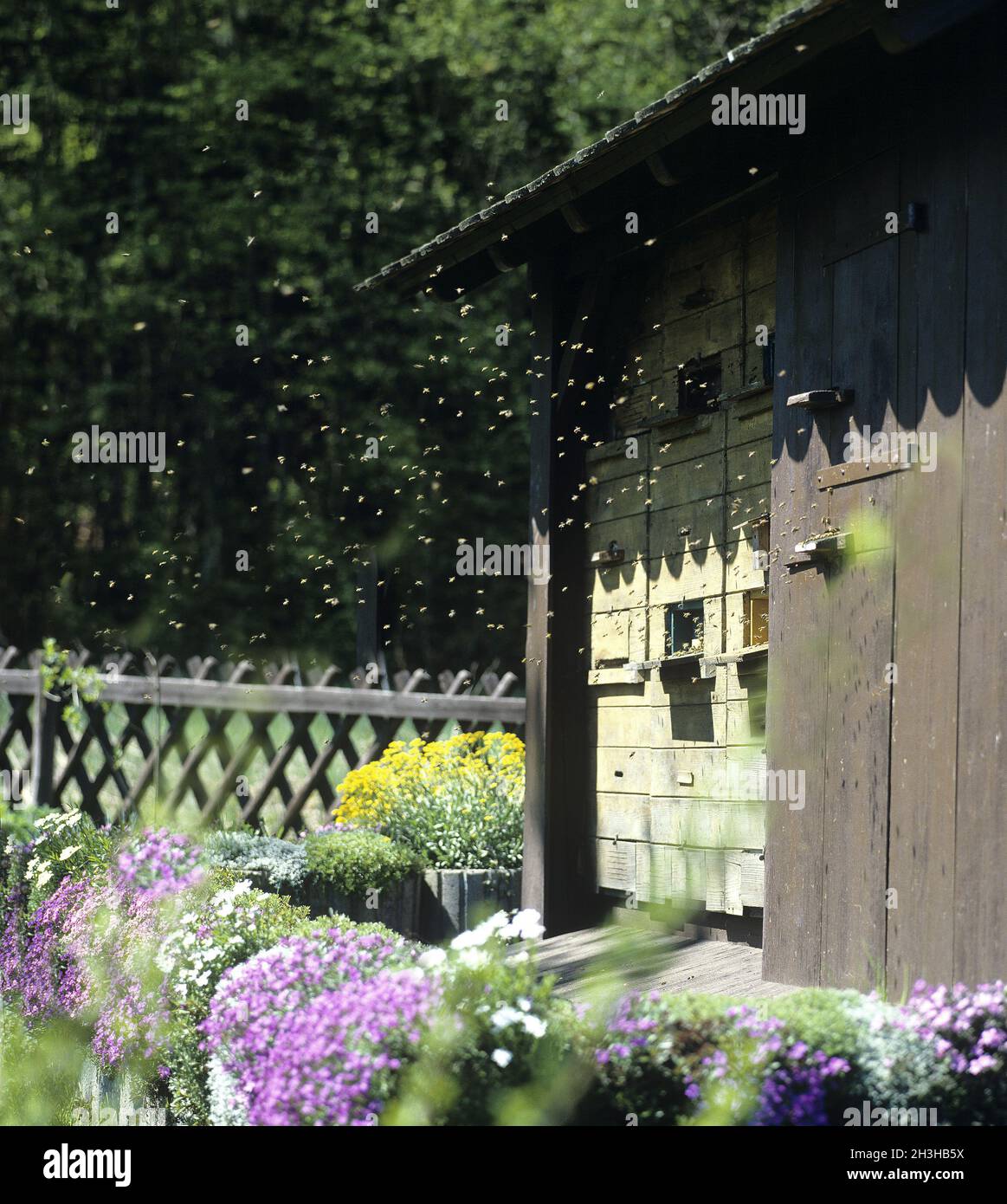 Bee house, beehive Stock Photo - Alamy