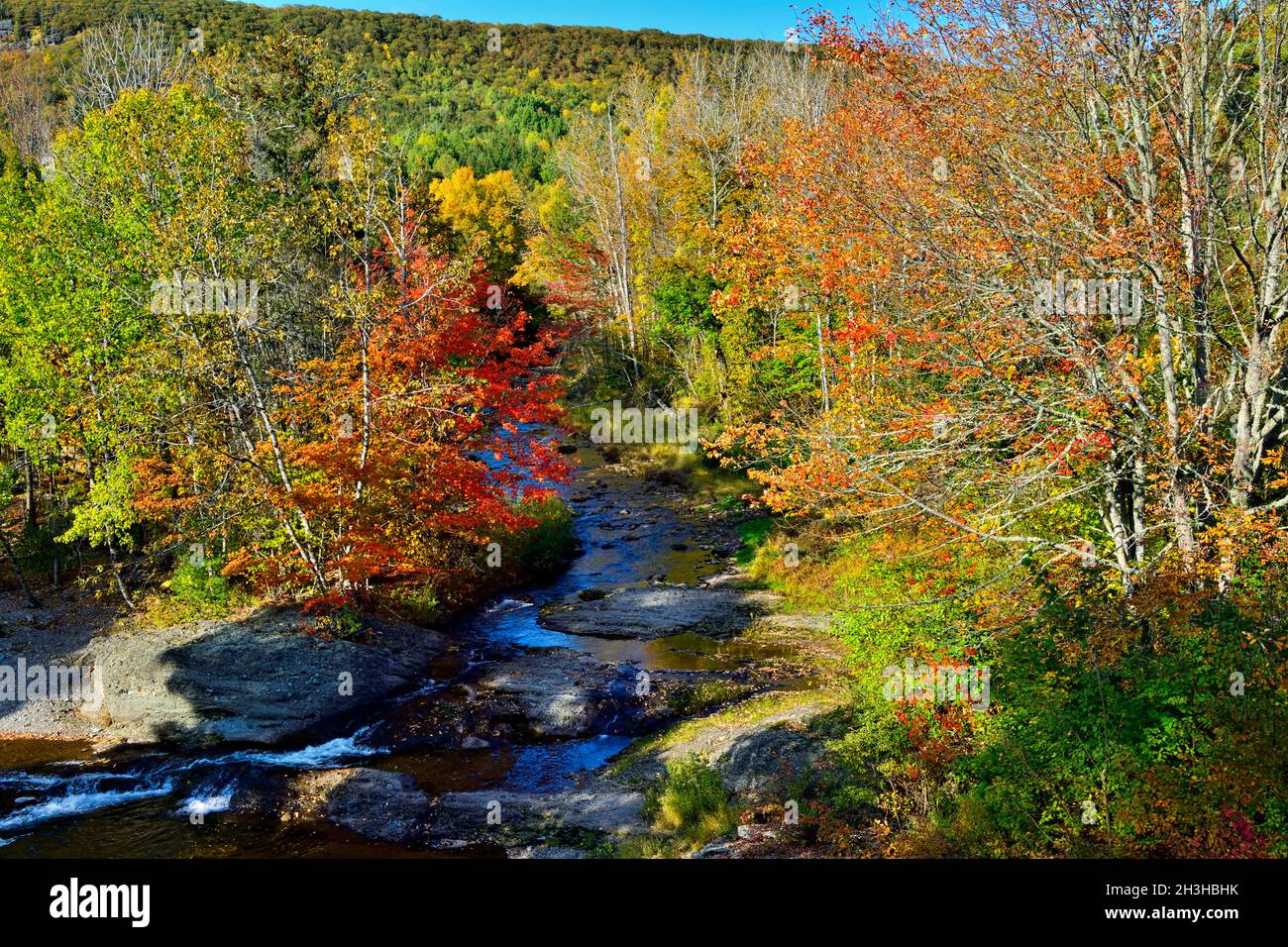 Trout Creek flowing through the deciduous forest in rural New Brunswick ...