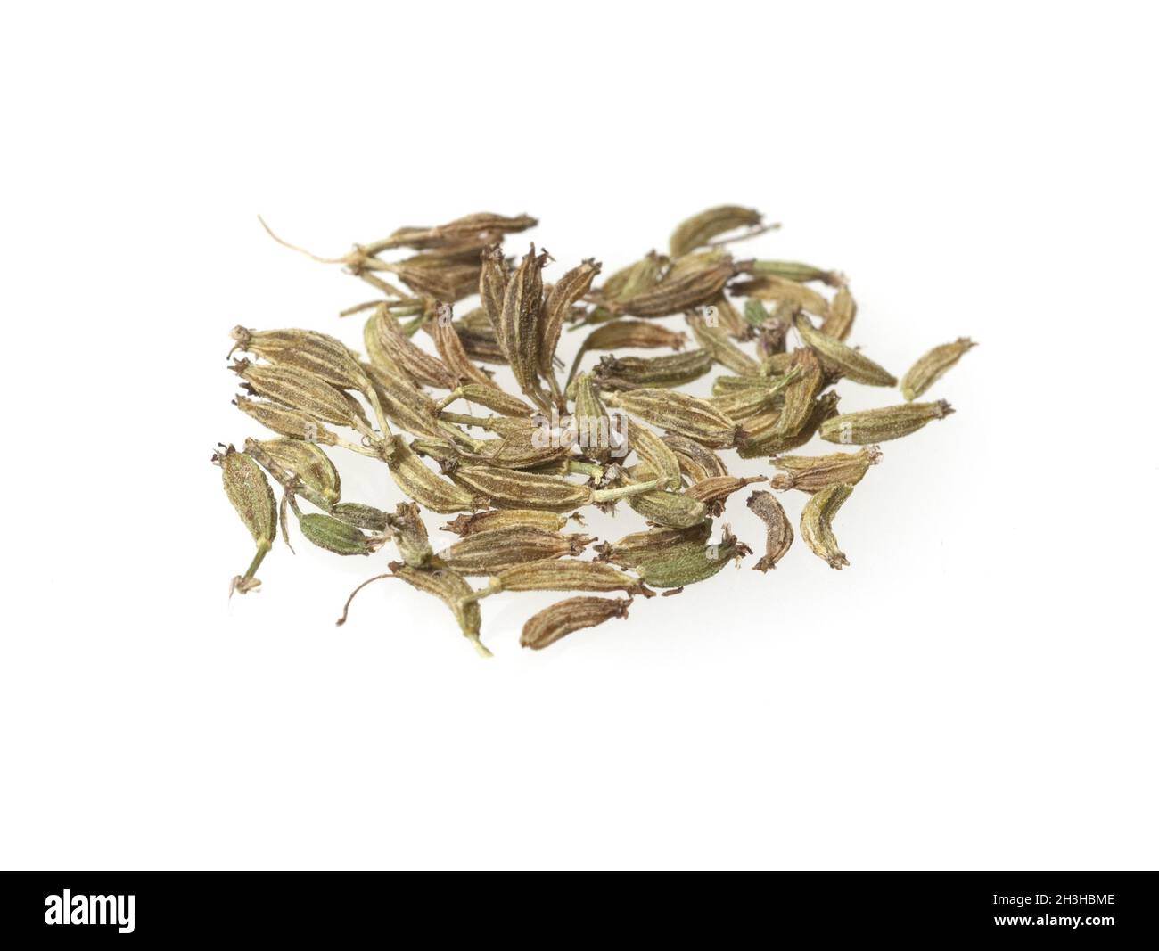 Cumin, Cuminum cyminum Stock Photo - Alamy