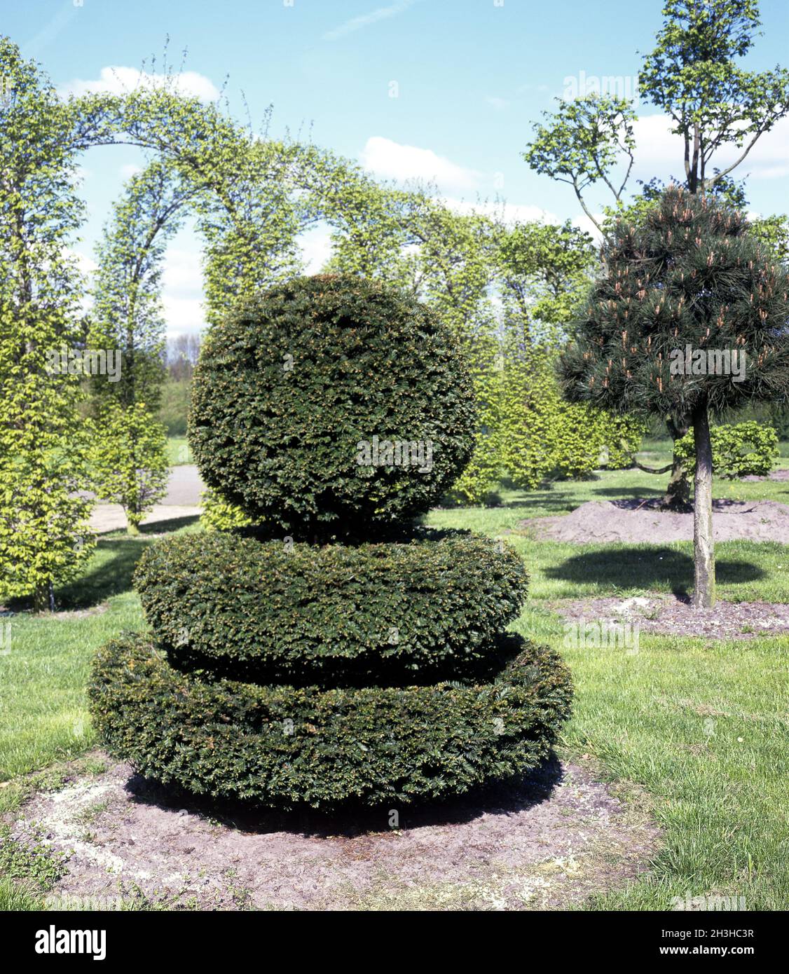Yew Topiary High Resolution Stock Photography and Images - Alamy