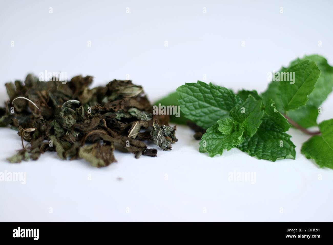 Dried mint leaves on white background Stock Photo - Alamy