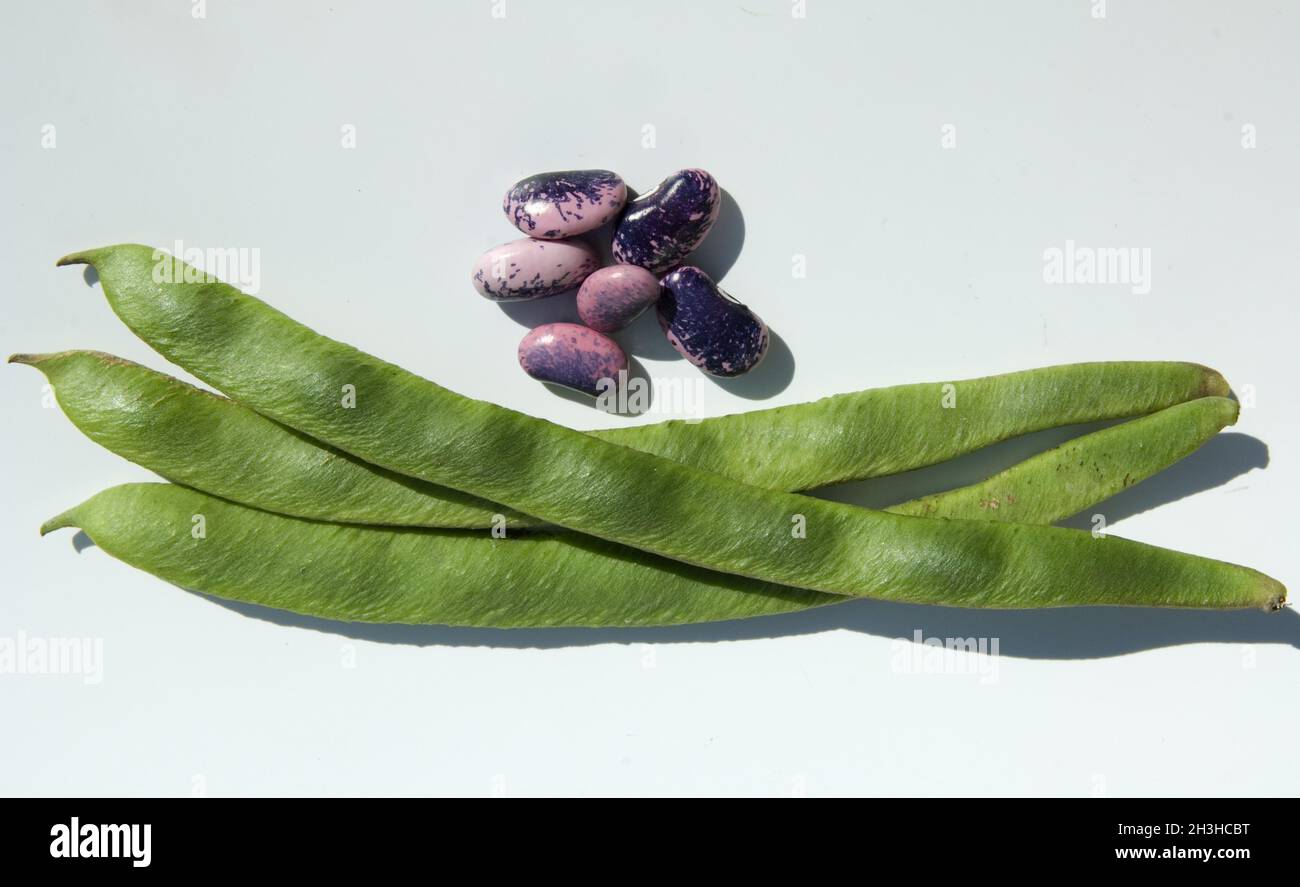 Fire bean plant hi-res stock photography and images - Alamy