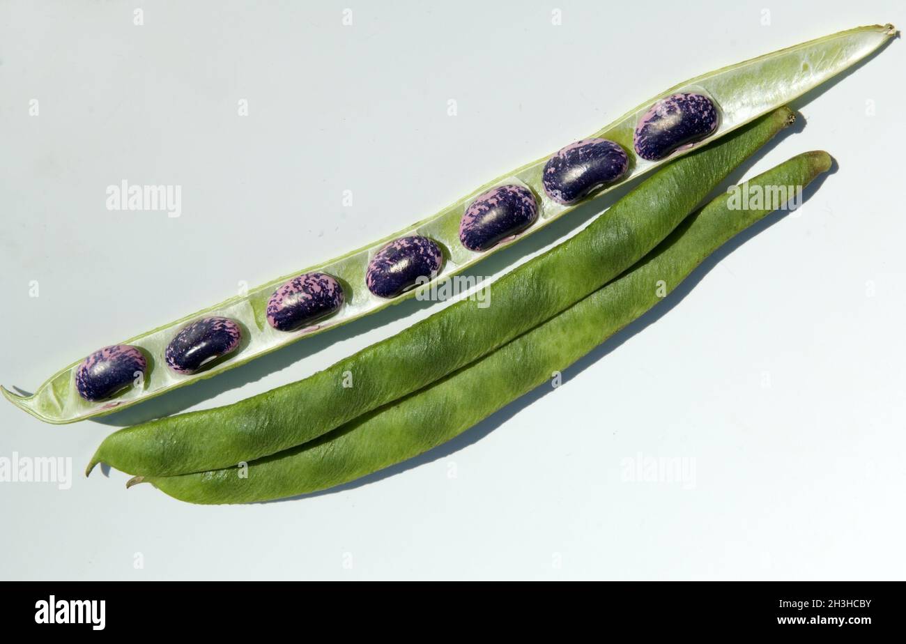 Black runner bean hi-res stock photography and images - Alamy