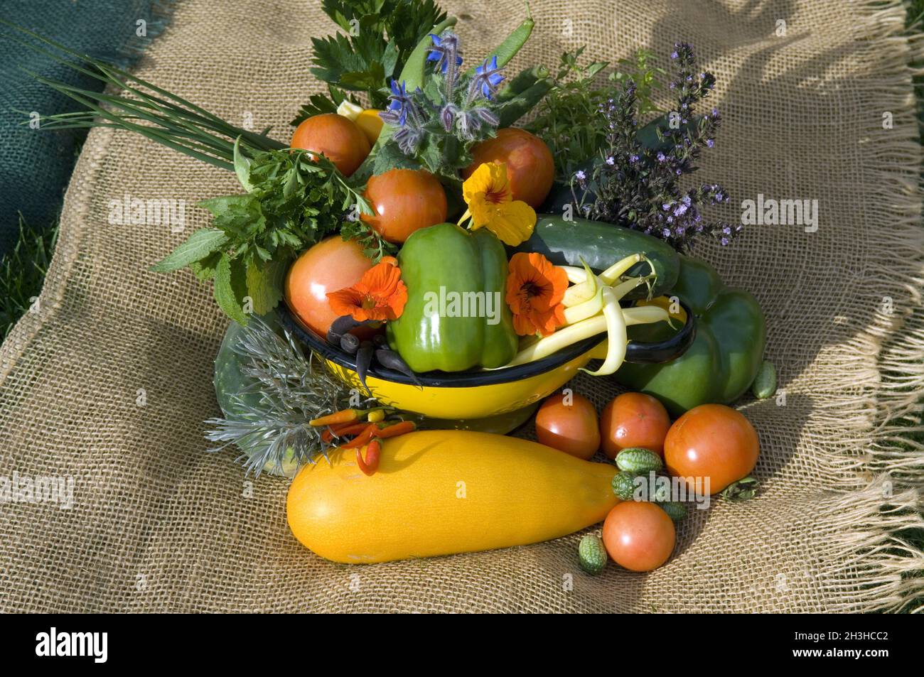 Common Still Life Stock Photo - Alamy