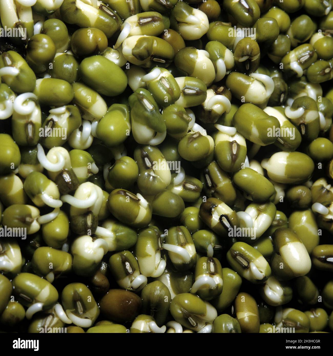 Sojakeim hi-res stock photography and images - Alamy