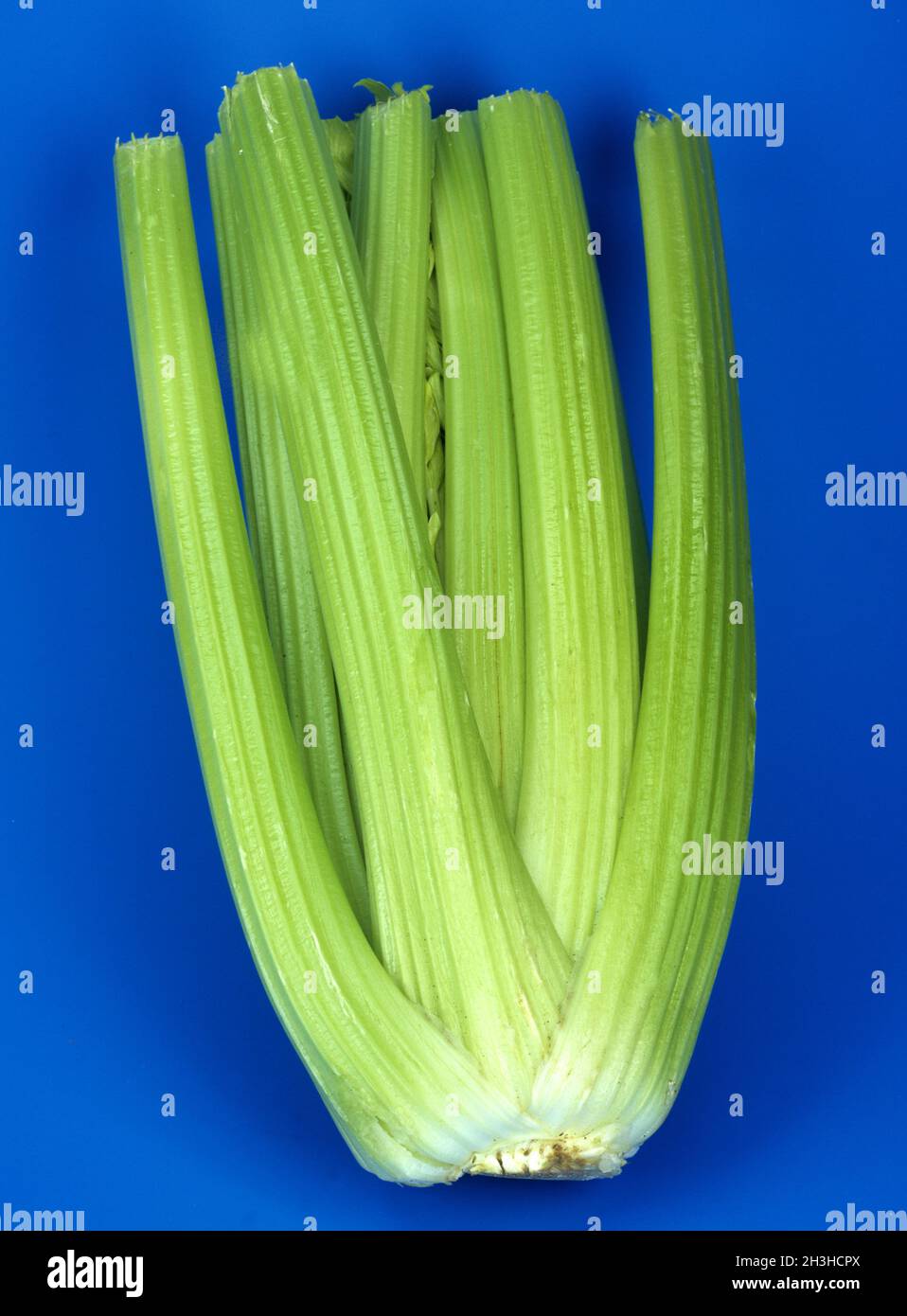 Rods and celery hi-res stock photography and images - Alamy