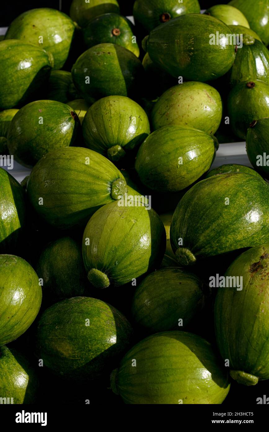 Avocado Squash, a unique, nutty, creamy and rich summer squash with a ...