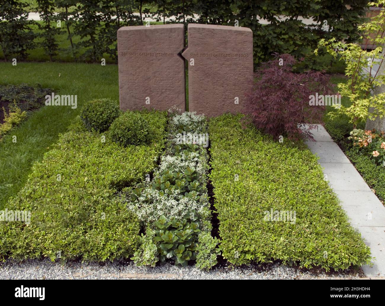 Boxwood Wood High Resolution Stock Photography and Images - Alamy