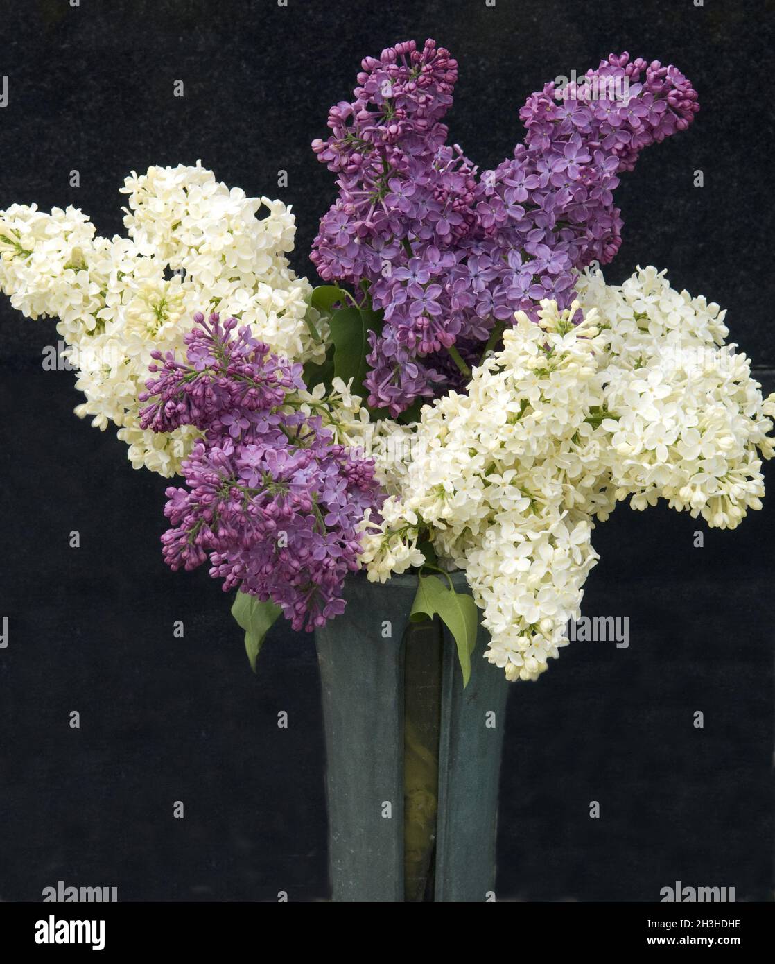 Grave decoration, bouquet of lilacs Stock Photo - Alamy