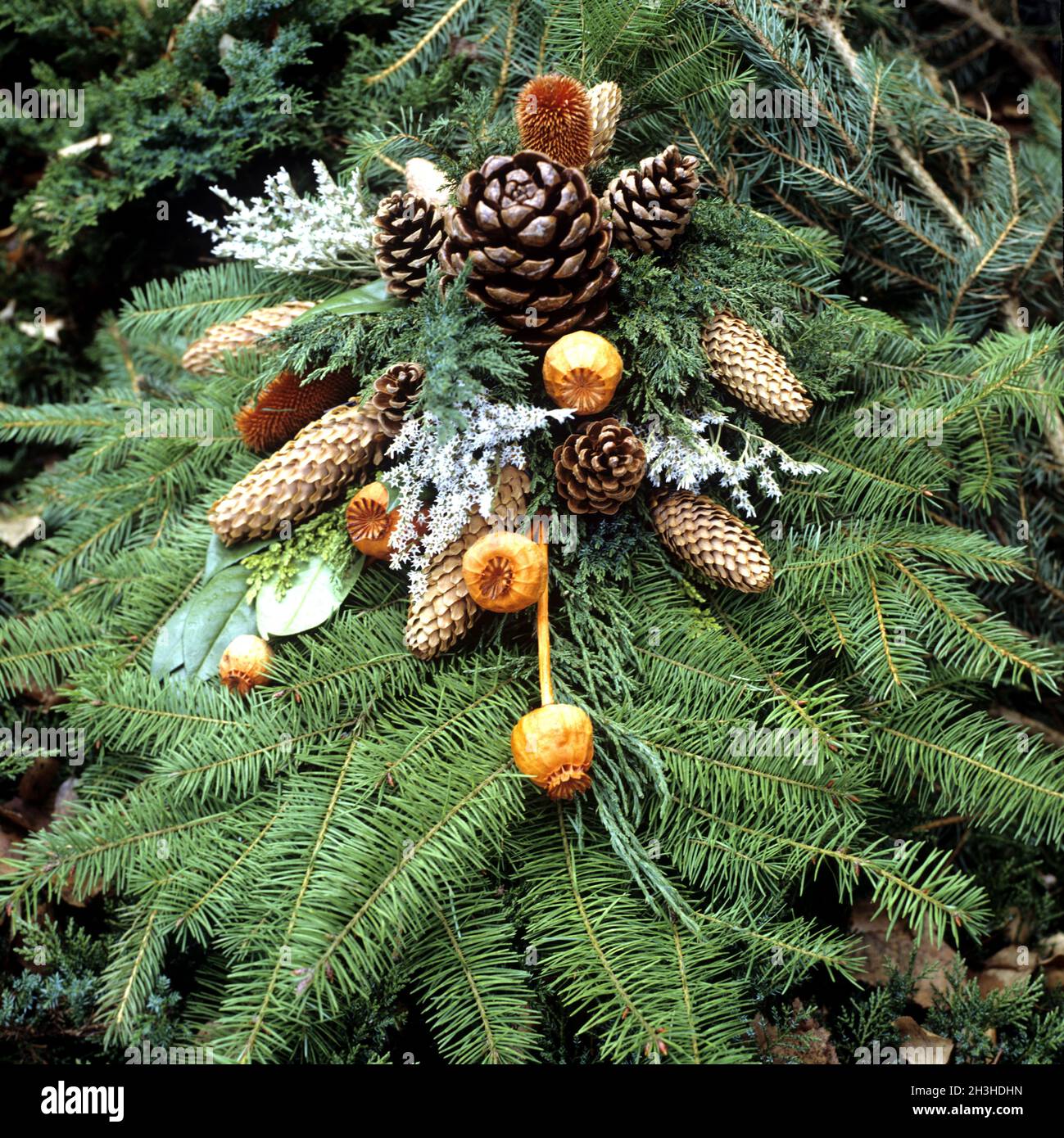Grave forms hi-res stock photography and images - Alamy