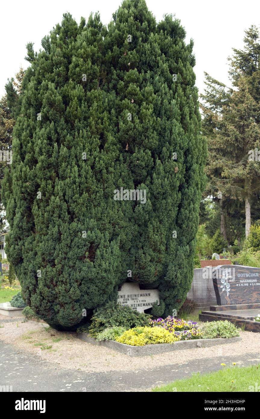 Tree Of Life Sculpture High Resolution Stock Photography and Images - Alamy