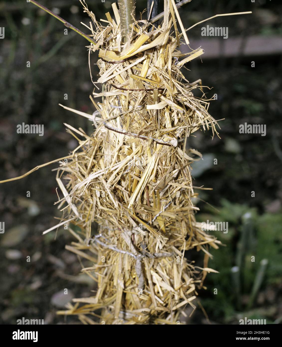 Antifreeze protection hi-res stock photography and images - Alamy