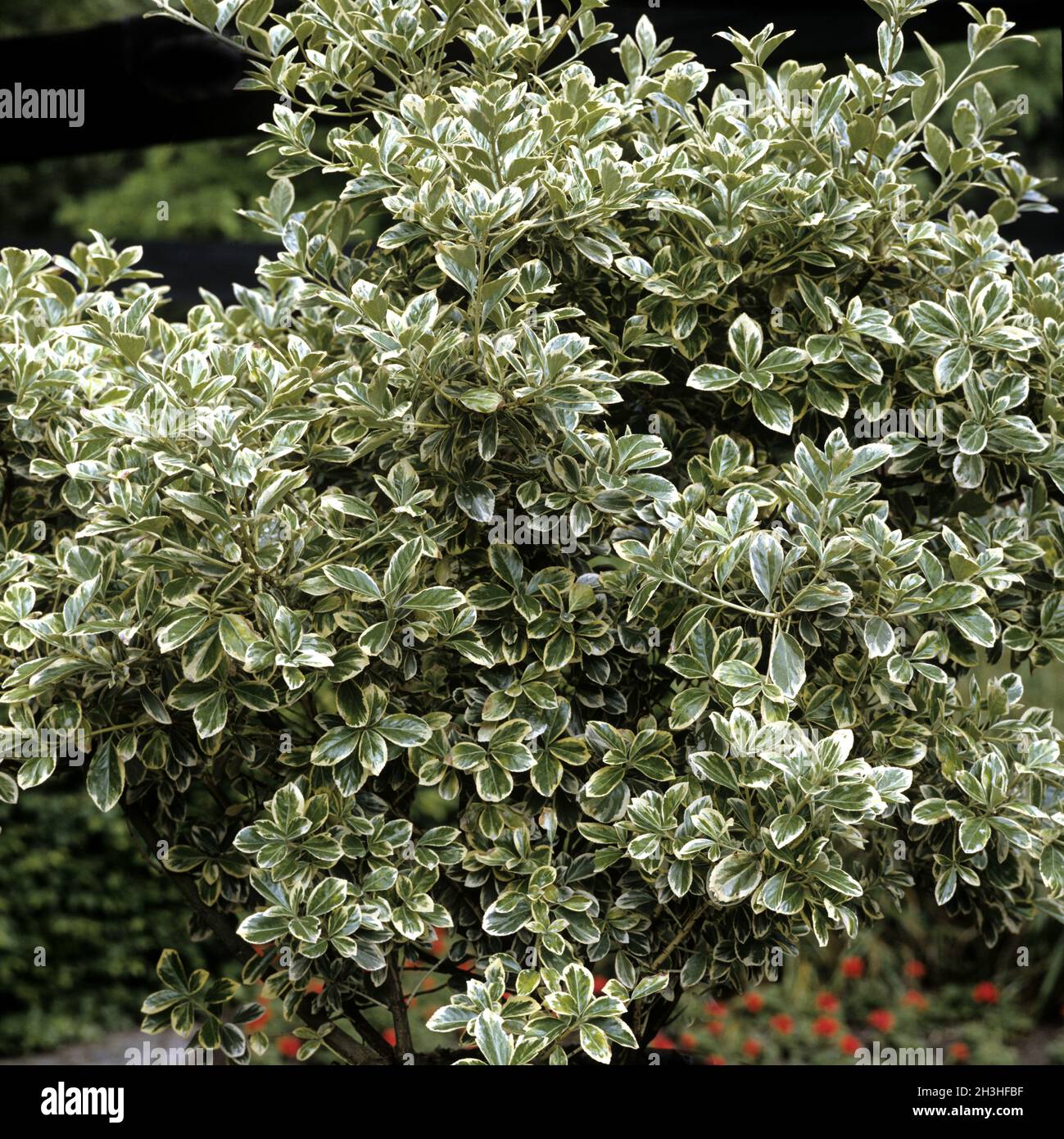 Multi spindle hi-res stock photography and images - Alamy