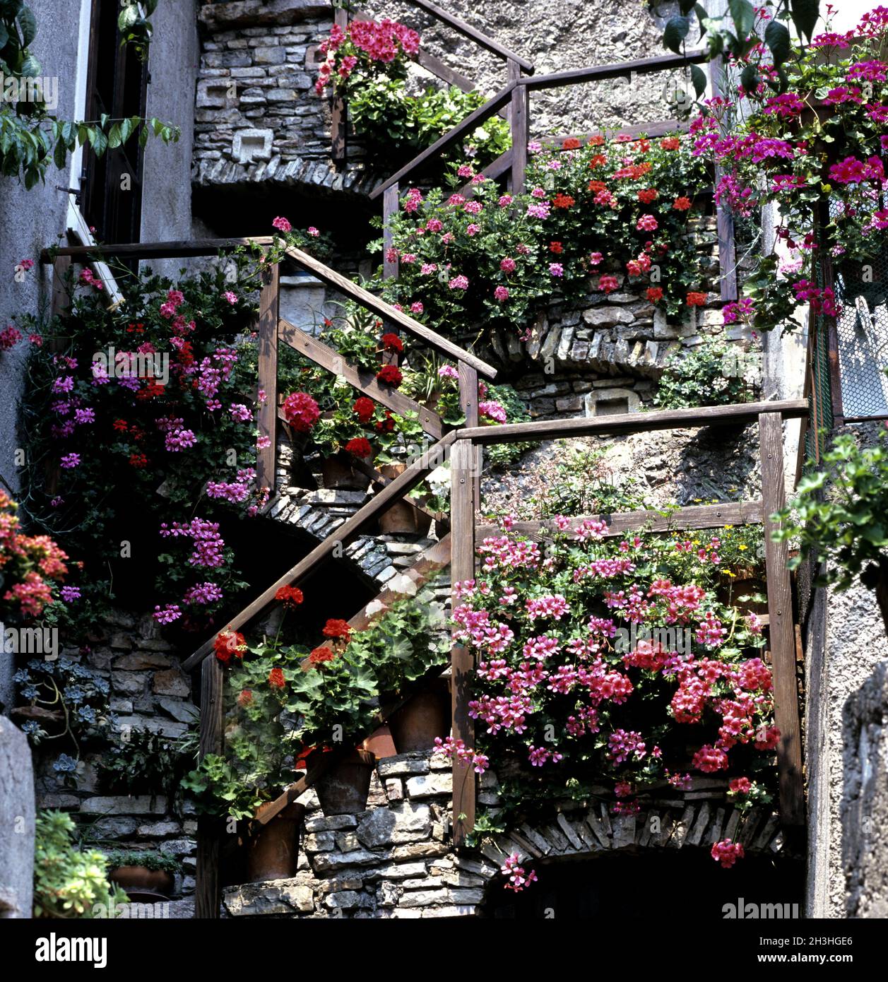 Flowers on stairs Stock Photo - Alamy